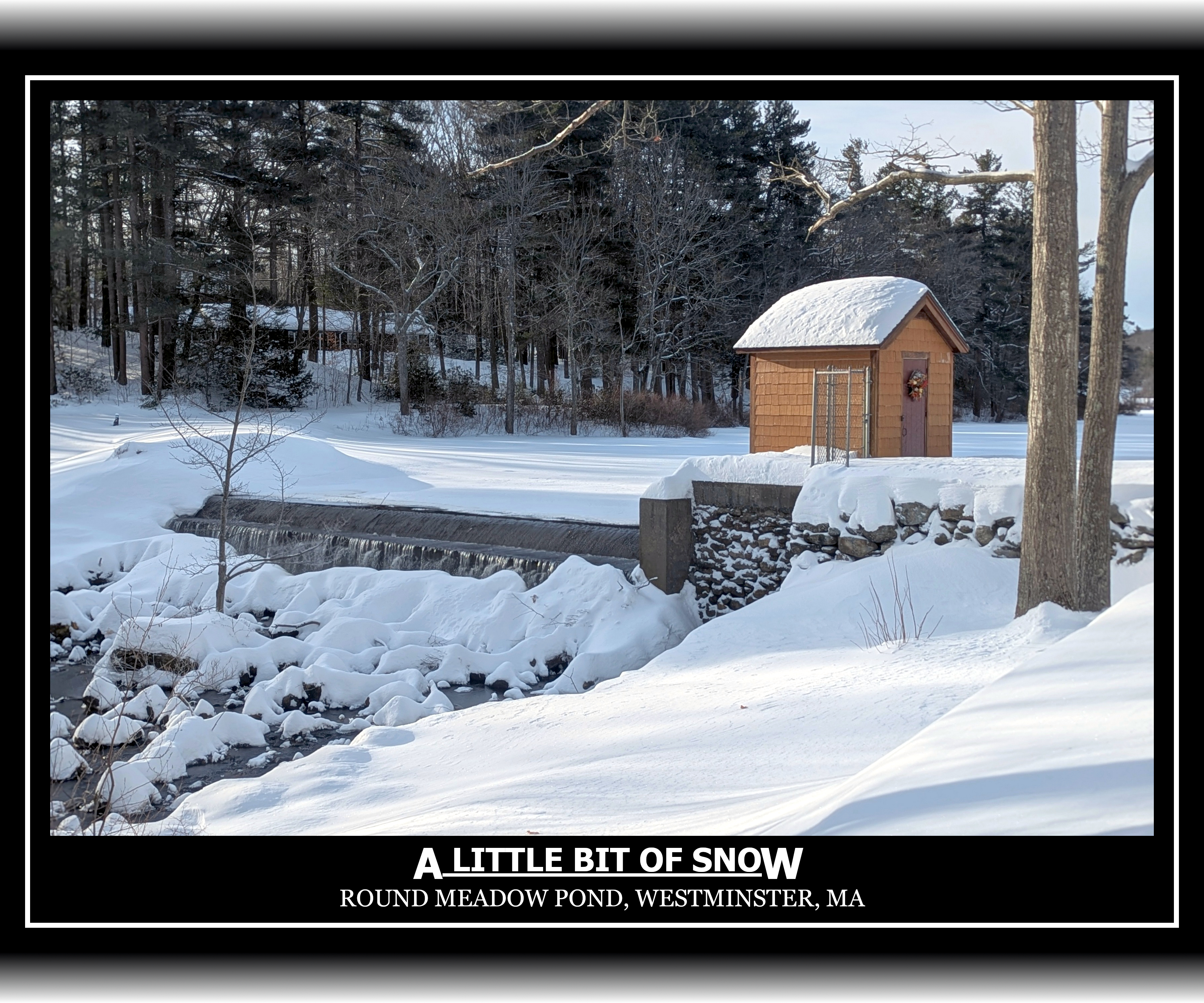 Photographic Thoughts — 01/25/2026 to 01/31/2026 | Photo by Joseph Ciras